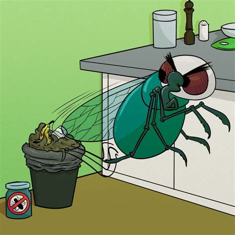 Why Flies Rub Their Hands And 10 Other Facts That Prove Its Not Their