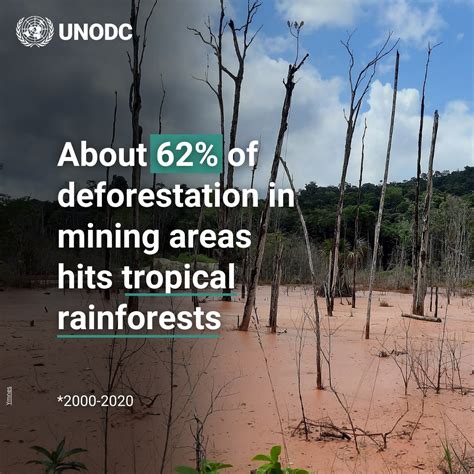 Unodc Illegal Mining Drives Deforestation Pollutes Forests With