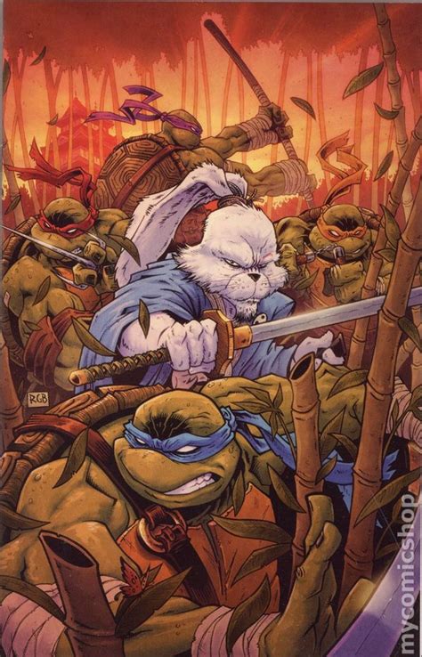 Teenage Mutant Ninja Turtles Usagi Yojimbo Wherewhen 2023 Idw Comic Books