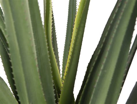 Artificial Pandanus With Geo Square Planter