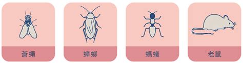防治蟲鼠
