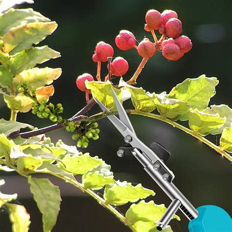 Pruning Scissors Nextgengardening™