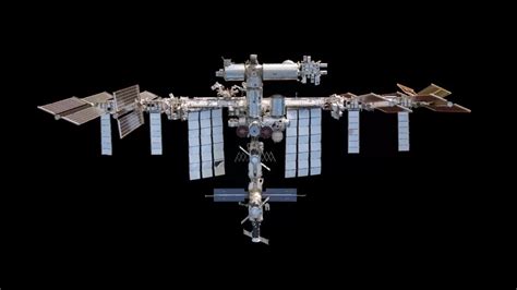 Moss Spores Survive Nearly A Year In Outer Space Implications For