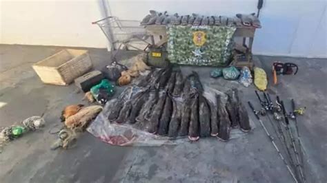 Pma Prende Infratora Por Pesca Ilegal E Comercialização De Pescado