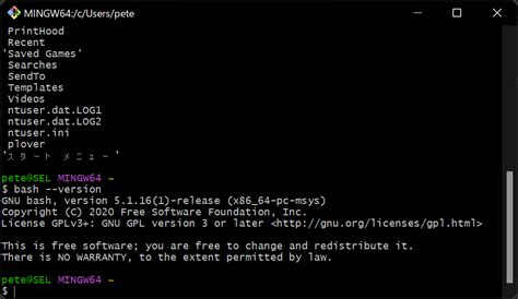 Extreme Difficulty Building From Source On Windows · Issue 1567