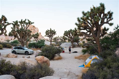 Best Camping In Joshua Tree National Park Ca 2025
