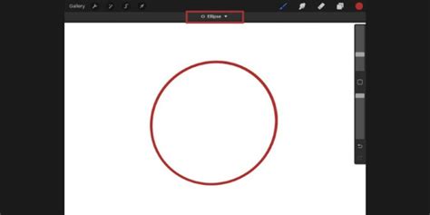 How To Make A Perfect Circle In Procreate Step By Step Guide
