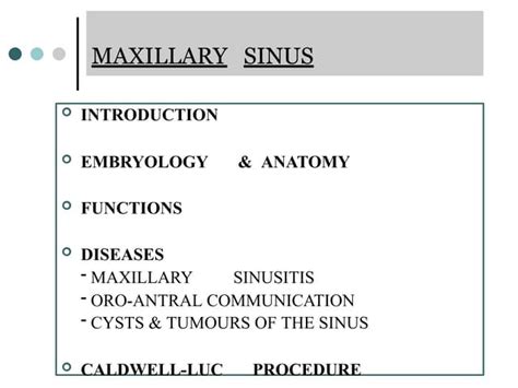 17 Maxillary Sinus Antrum Of Highmore Surgical Anatomy Pptx