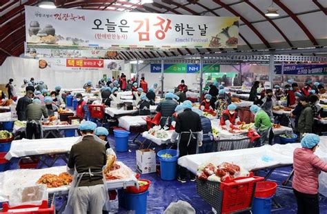 평창고랭지 김장축제 네이트 뉴스