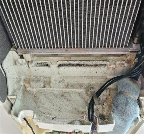 10만원 주고 에어컨 청소 맡겼는데내부엔 먼지에 곰팡이까지 그대로 경악 파이낸셜뉴스