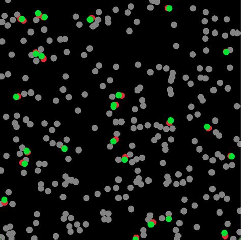 coding train quadtree collisions in rust r rust