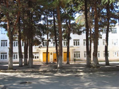 სსიპ ქალაქ თბილისის N131 საჯარო სკოლა ისანი სამგორის რაიონი აფრიკის დასახლება