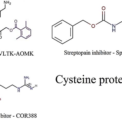 Chemical Compound Structures Of Certain Metallo Protease Inhibitors Download Scientific