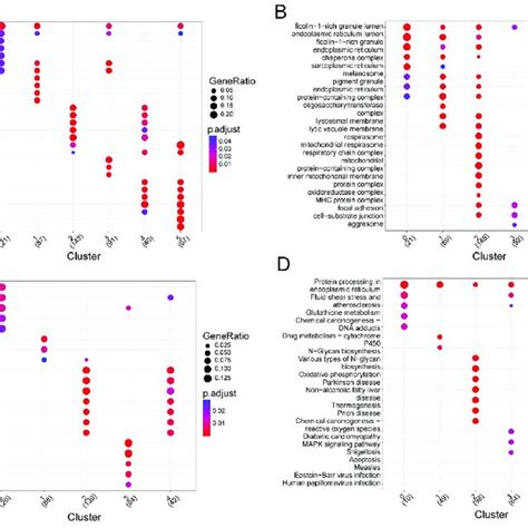 Correlation Of Bulk And Scrna−seq Datasets A Heatmap Visualization