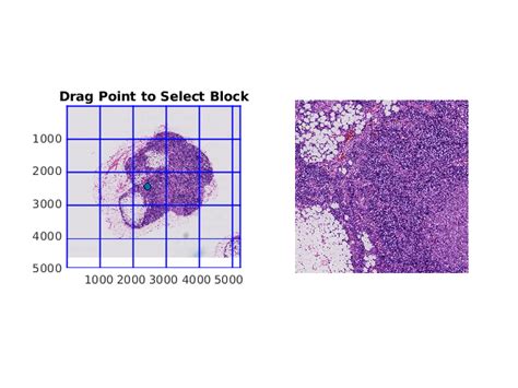 Getblock To Be Removed Read Block Of Bigimage Object Matlab