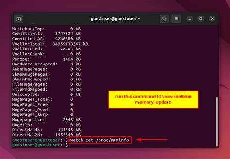 How To Check Memory In Linux Easy Ways