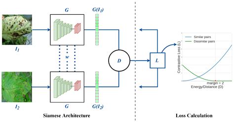 Siamese Network Based Lightweight Framework For Tomato Leaf Disease Recognition