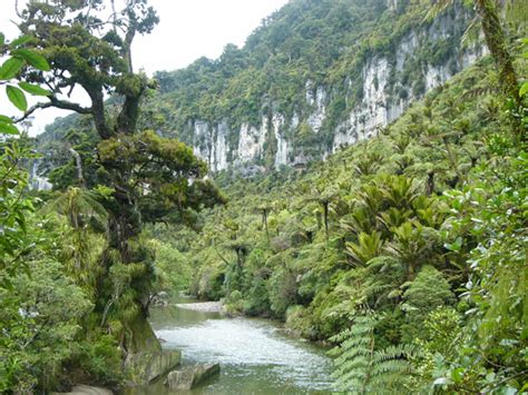 Tour 뉴질랜드 들여다보기 뉴질랜드 웨스트코스트1 금맥을 찾아 서해안으로