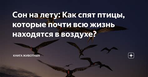 Сон на лету Как спят птицы которые почти всю жизнь находятся в