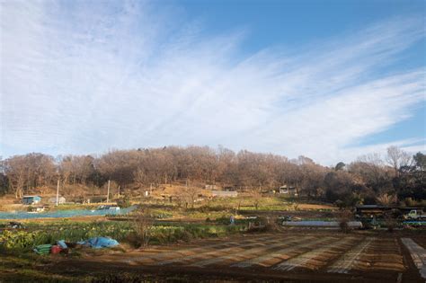 大晦日ライド ICOの秘密