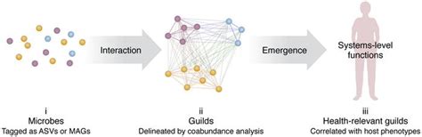 Jci Guild Based Approach For Mitigating Information Loss And Distortion Issues In Microbiome