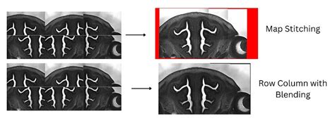 Free Stitching Tool For Montaging Microscope Images Indigo Scientific