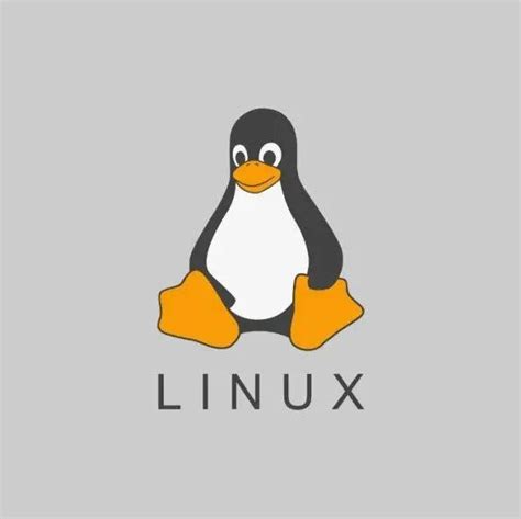 Linux 中的 13 个基本 Cat 命令示例 知乎