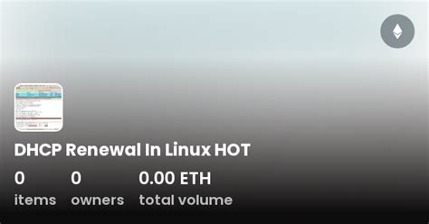 Dhcp Renewal In Linux Hot Collection Opensea