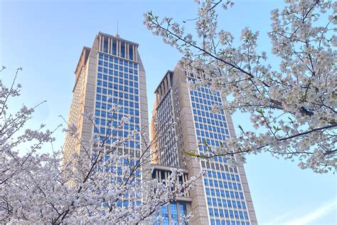 复旦大学高清手机电脑壁纸 学习考研壁纸第一期 知乎