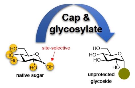 Scalable Two Step Annealing Method For Preparing Ultra High Density Single Atom Catalyst