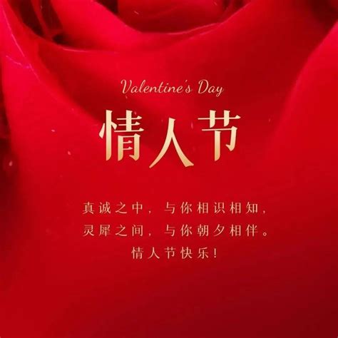 情人节最暖心的一段话 感情 话语 因为
