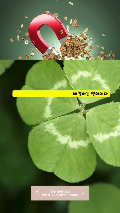 성공 채널 주간 행운의 기류 리뷰 변화의 영향 평가 Shorts 동기부여 자기계발 부자 기회 행운 성공 지혜 좋은글 긍정확언 명언 Youtube