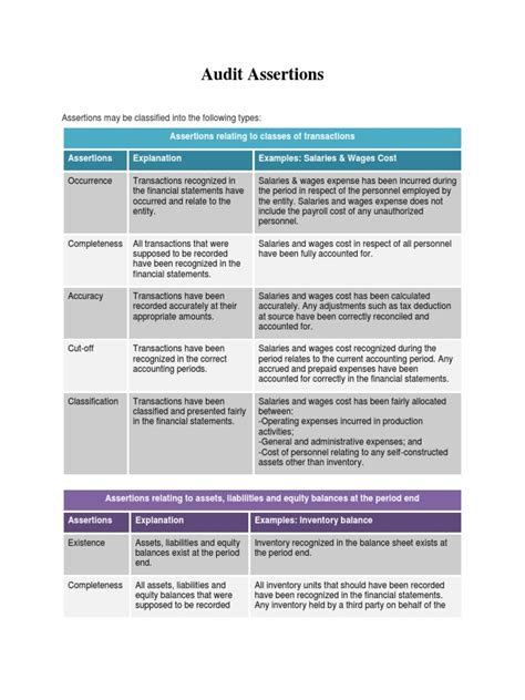 Audit Assertions Financial Audit Financial Statement