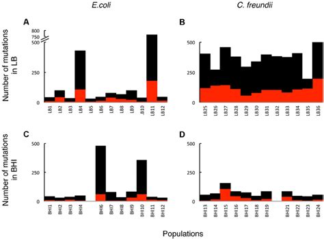 The Total Number Of Mutations In Coding Regions Was Substantial In The Download Scientific