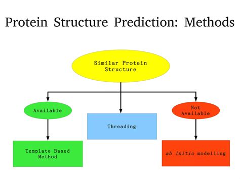Ab Initio Protein Structure Prediction Pdf