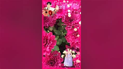 🫶강문경🫶봉선화연정🫶현역가왕2🫶 Youtube