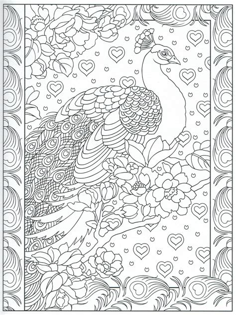 Adult Coloring Pages Peacock