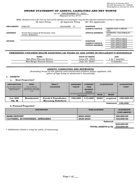 Saln Blank Pdf Net Worth Personal Finance