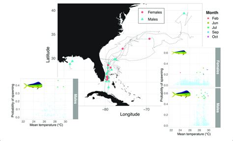 Spatial Distribution Of Predicted Spawning Events And Individual