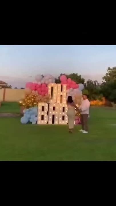 Gender Reveal Plan Lost A Wing Meme By Jungster Memedroid