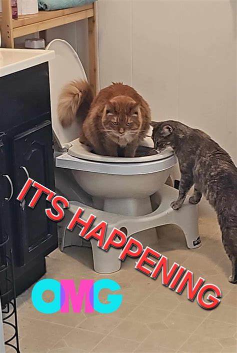 Odbs Best Trick Album On Imgur