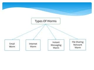Computer Worms Viruses And Prevention PPTX