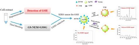 Facile And Sensitive Measurement Of Gsh Gssg In Cells By Surface Enhanced Raman Spectroscopy