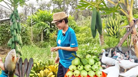 เกษตรผสมผสานในพื้นที่ 1ไร่ จากคนที่คิดจะถอดใจ เพราะทำเท่าไหร่ก็ไม่มีรายได้ Youtube