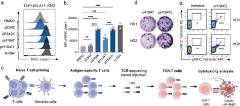 Mbl International Corporation On Linkedin Quickswitch™ Custom Tetramer Kits