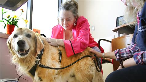 Healing Hounds