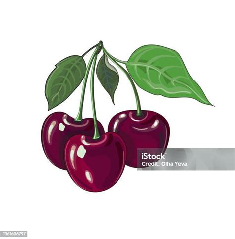 잘 익은 빨간 체리 3개 만화 스타일의 과일 흰색 배경에 격리된 스톡 벡터 그림입니다 0명에 대한 스톡 벡터 아트 및 기타 이미지 0명 3가지 개체 건강한 식생활