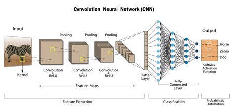 understanding convolutional neural networks cnns in depth by koushik medium