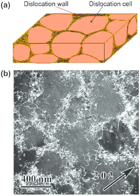 Colour Online A Schematic Diagram Of Dislocation Cell Download