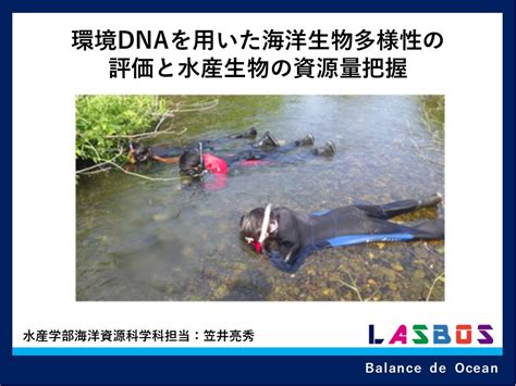 コース 海洋資源科学科の紹介コース